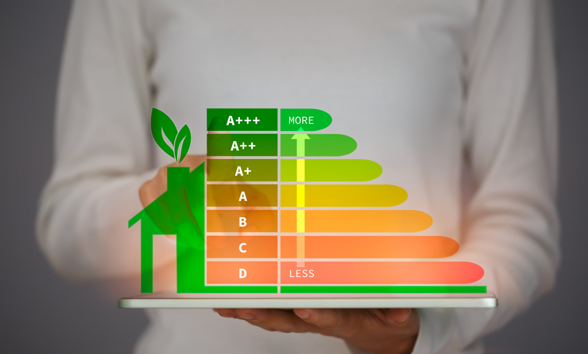 Technical Assessments | Border States