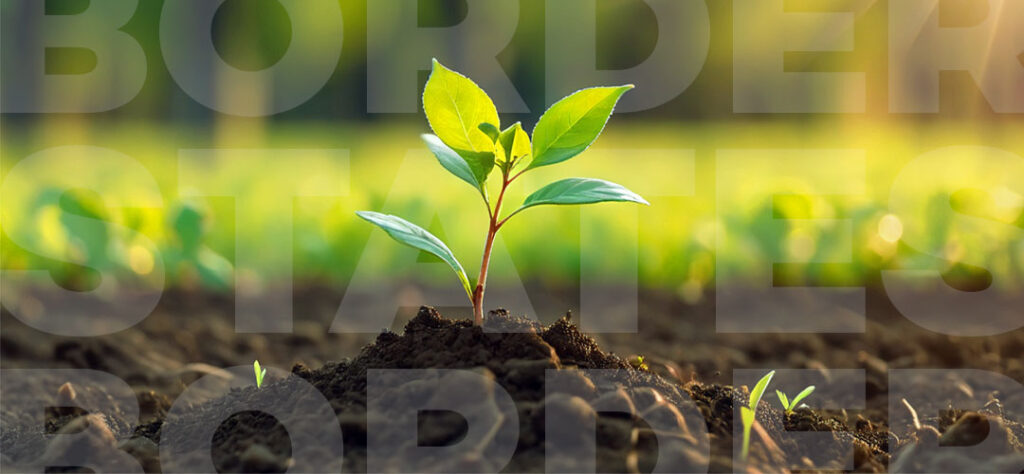 Sustainability | Border States