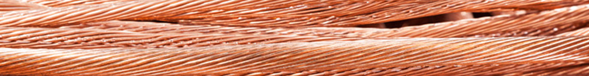 Commodity Update - March 2025 | Border States